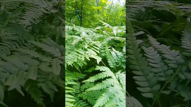 Доброе утро!