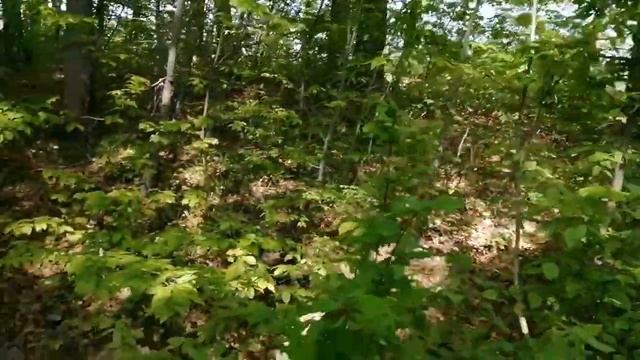 По местам боевых действий в окрестностях Хадыженска. Часть 1