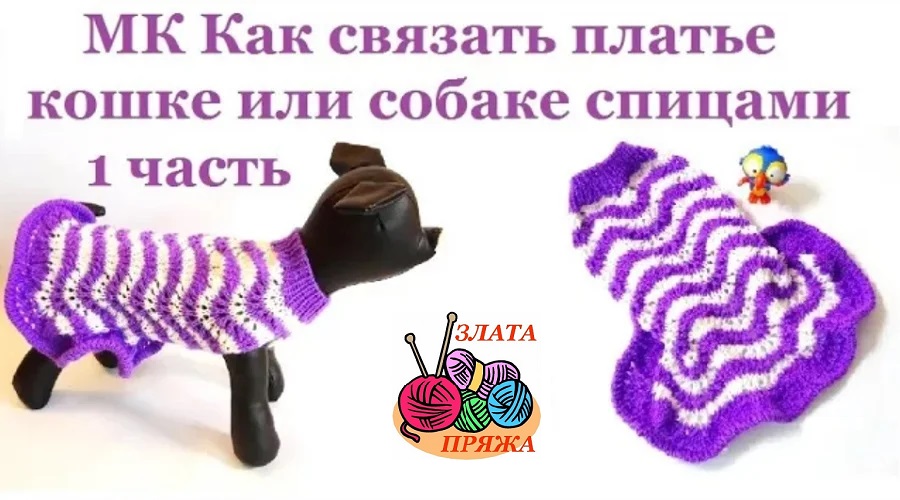 МК Как связать платье кошке или собаке 1 часть