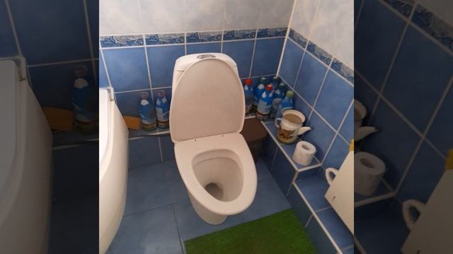 Есть ли в России унитазы!