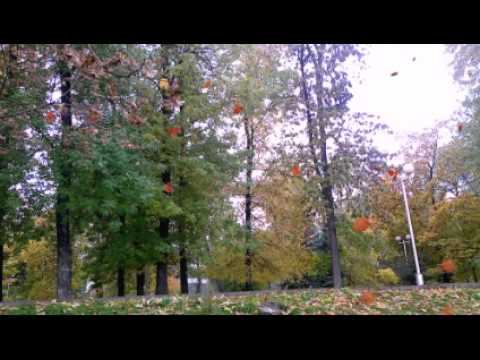 Сергей Куприк группа "Лесоповал" .Я куплю тебе дом