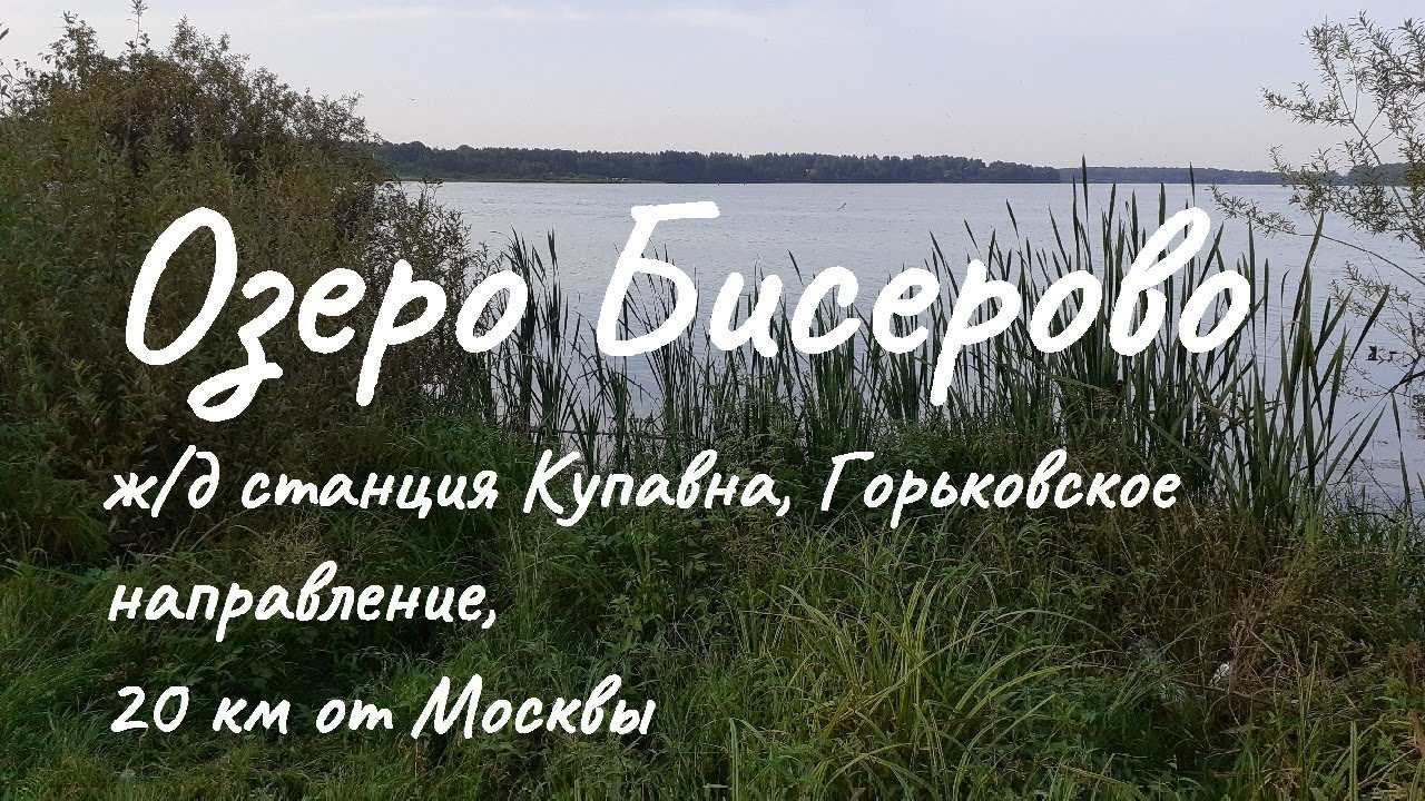 Озеро Бисерово, Московская область, лето 2021.mp4