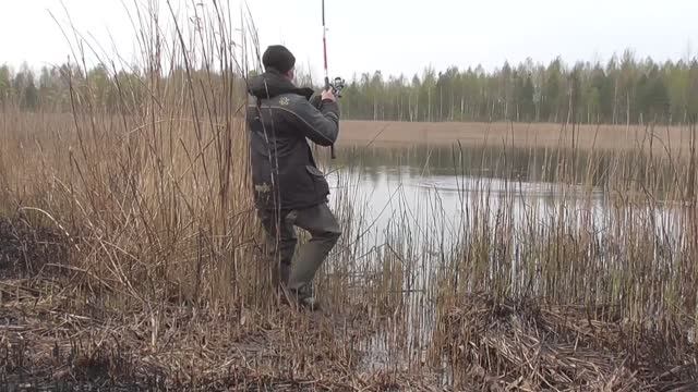 Огромная щука уводит в корчи. Рыбалка на поплавок. Щука на живца.
