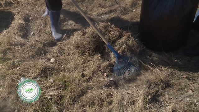 Экокор 11: Всероссийский субботник в Нижневартовске