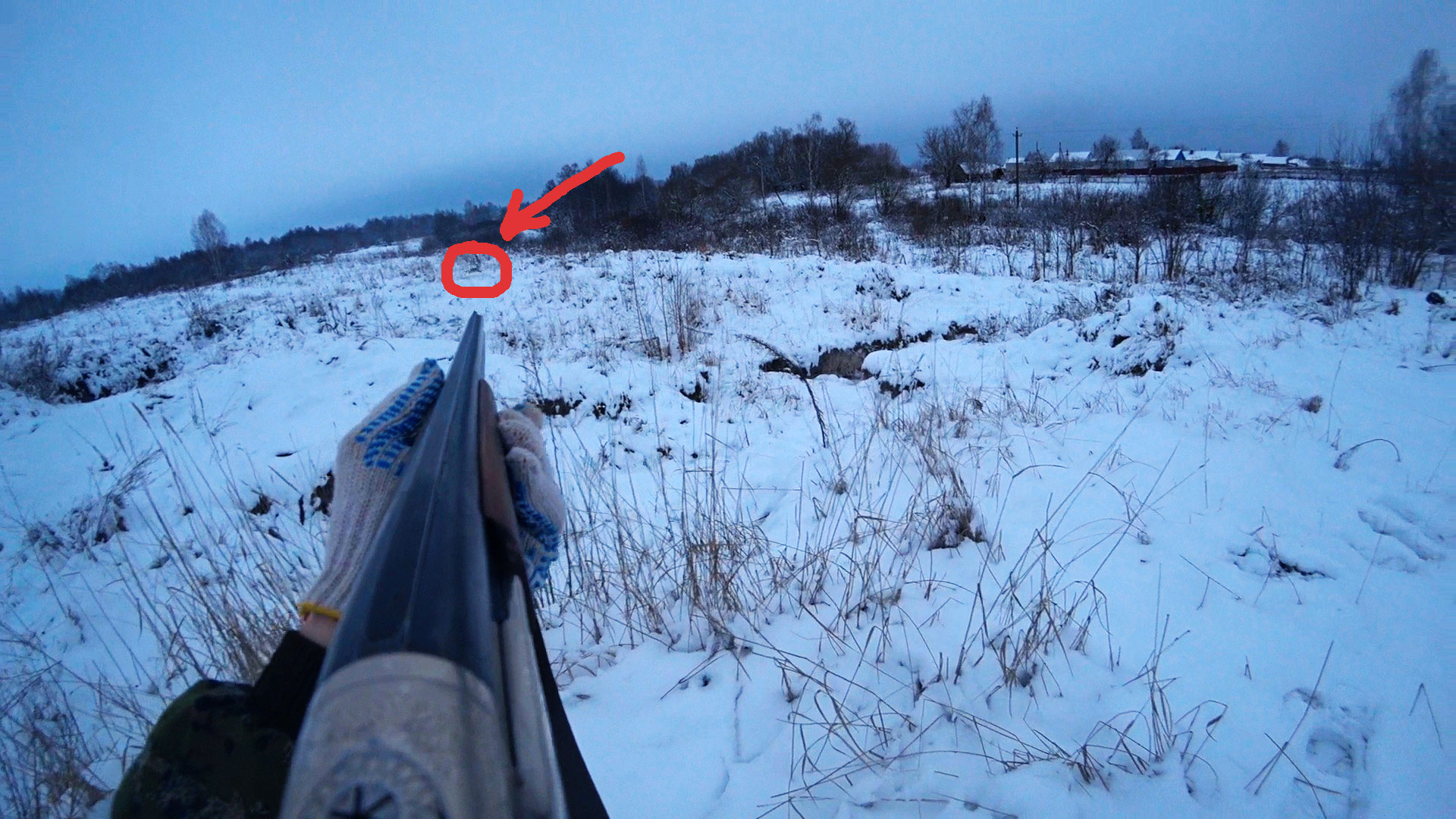 ОХОТА НА ЗАЙЦА С ТОЗ-34. РУЖЬЁ ПРОДАЛ, А ПАМЯТЬ ОСТАЛАСЬ.mp4