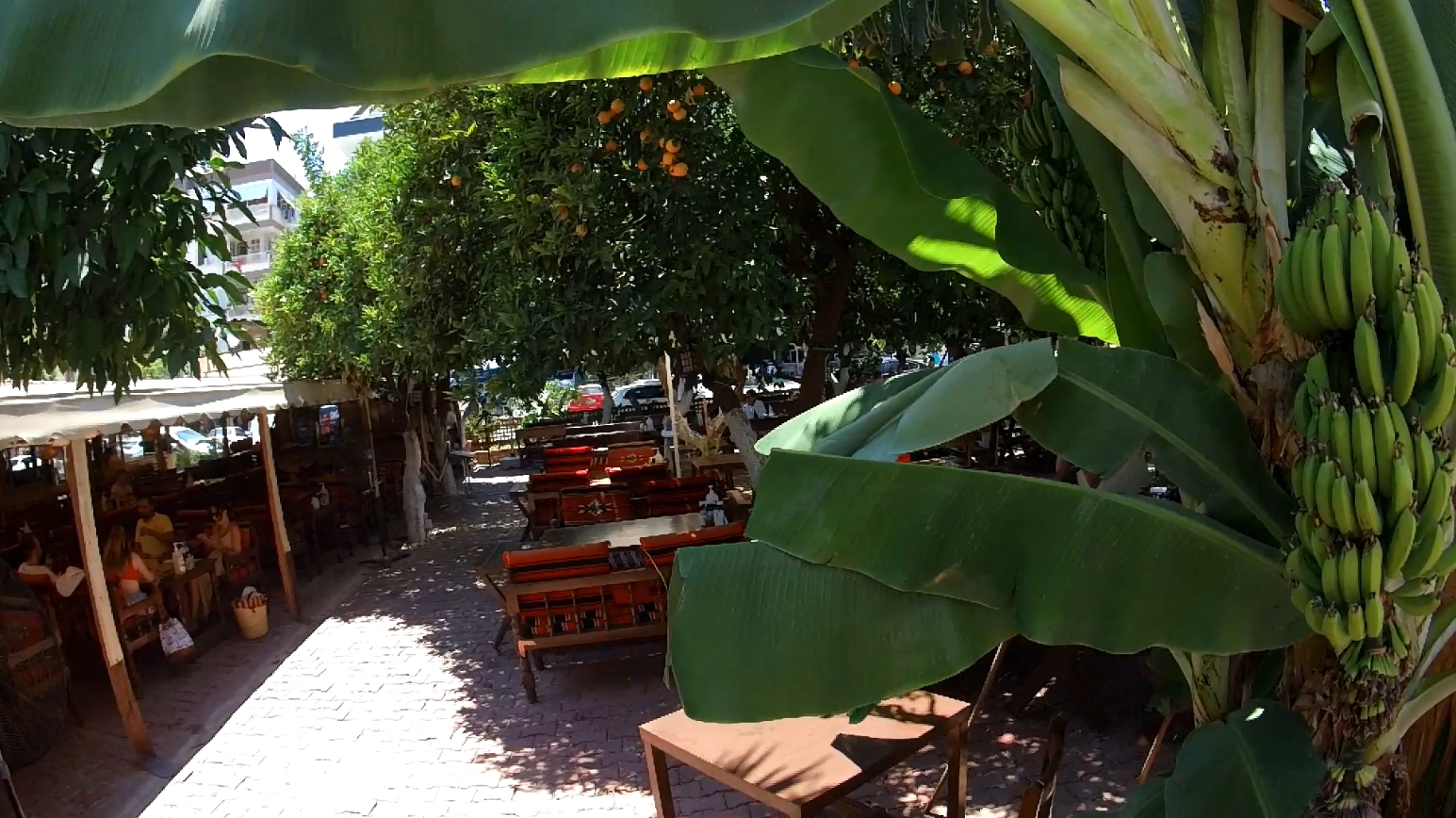 Турция Алания | Море пляж Клеопатры | Обед в отеле Клеопатра Микадор | Рынок фруктов