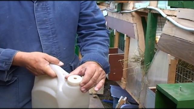 Кролики шед.ч.6