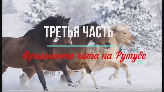 Диалоги в чате Соловьева Live. Часть 3 и последняя.