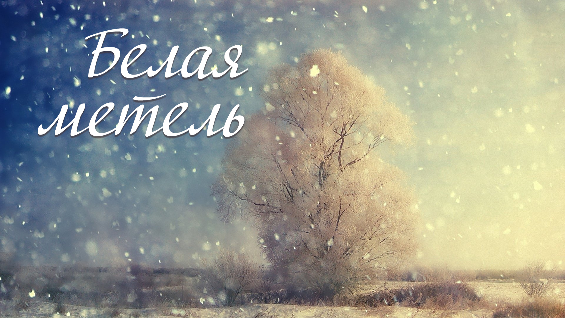 "Белая метель" исп: Евгений Севрюков