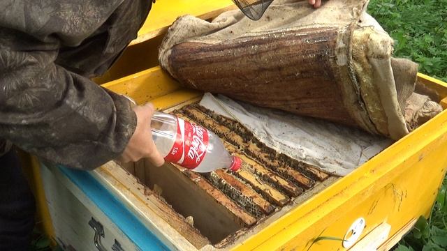 Обработка пчёл Бипином - 2017