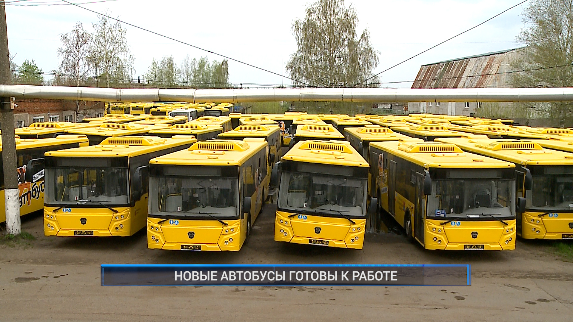 (Рыбинск-40) НОВЫЕ АВТОБУСЫ ГОТОВЫ К РАБОТЕ