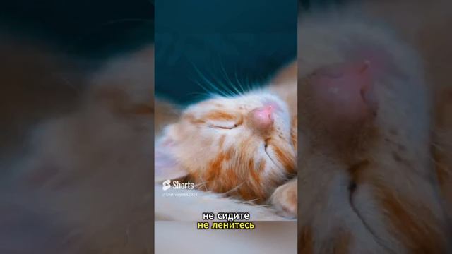 Как изменить свою жизнь....как изменить свою жизнь к лучшему №2#будьтесчастливы #успех #саморазвитие