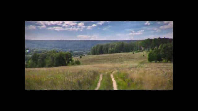 ЖУРАВЛИ (cover) Максим Фалеев