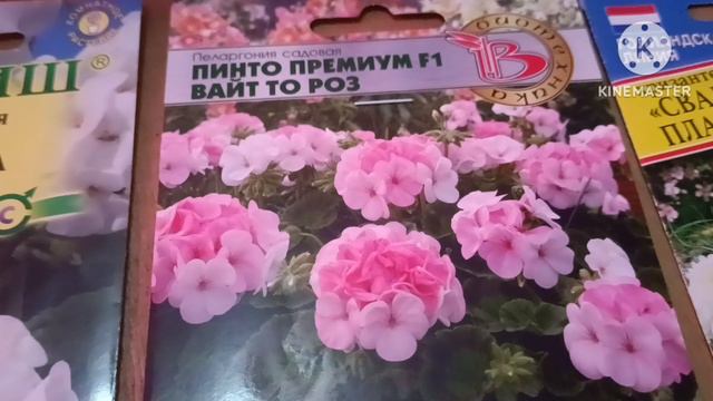 Посевы продолжаются. Сею цветы. Долгожданная посылка из РФ