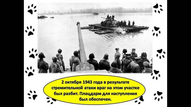 Сер. 39. Прогулка барса БЦОшки по ул. Малясова.mp4