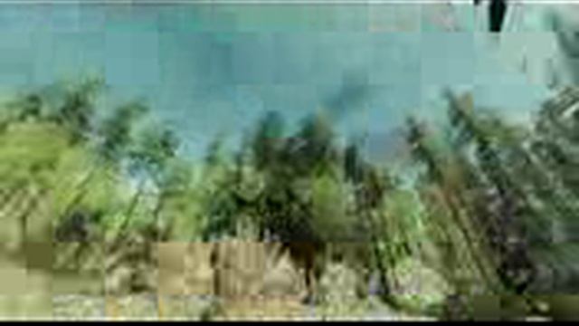 The forest #4. Ночная резня!