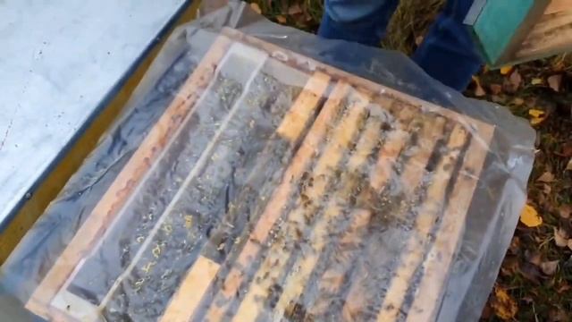 Михаил Гращенко_ Золотое правило зимовки пчел