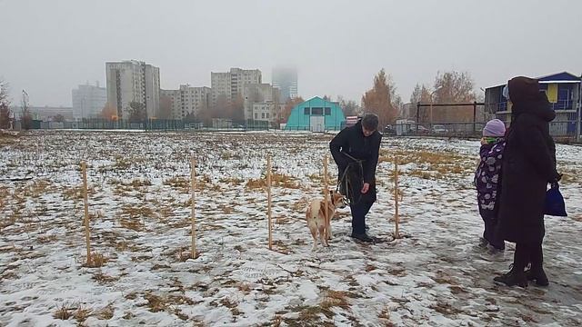 Марта возраст 4 месяца
Набережные Челны
29.10.23 воскресенье_12 часов 24 минут