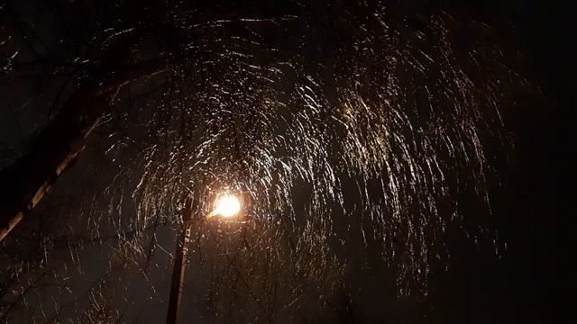 Ночь, фонарь и ветви.