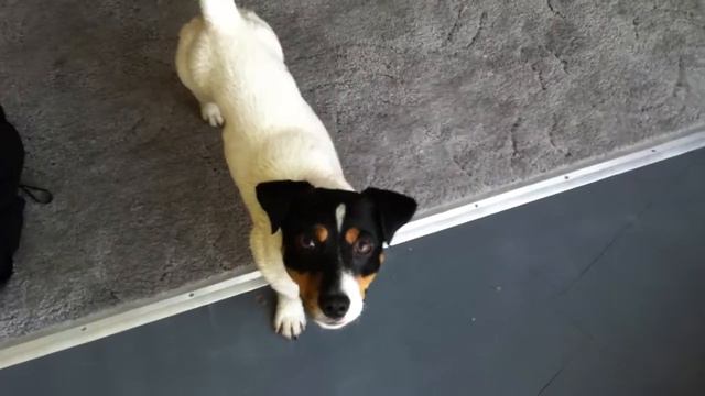 Хуго Сохнет Новое