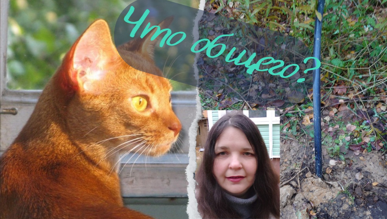 3 способа водоснабжения дачи. Плюсы и минусы.