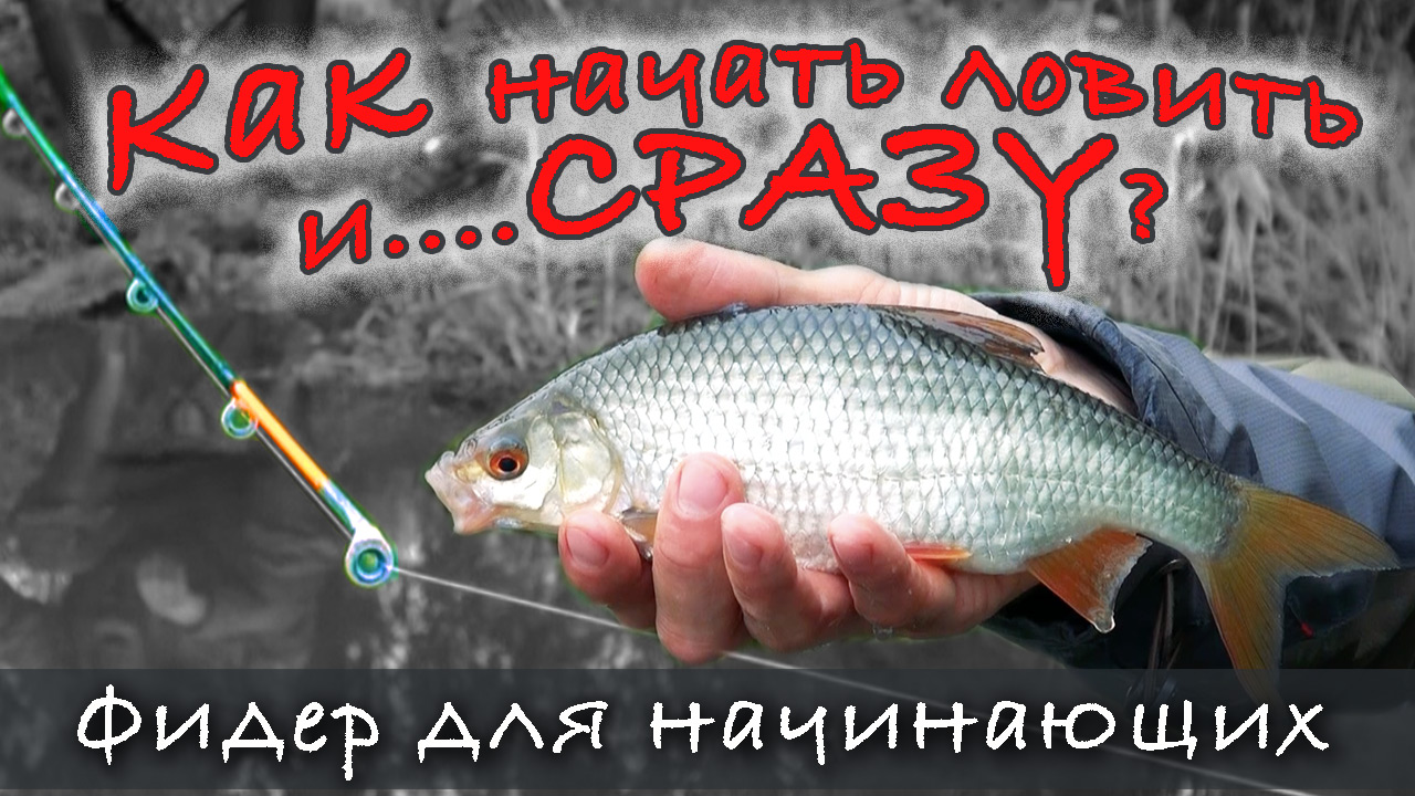 Флэт ФИДЕР для начинающих: ловля на фидер сразу и без заморочек | ОСНАСТКА