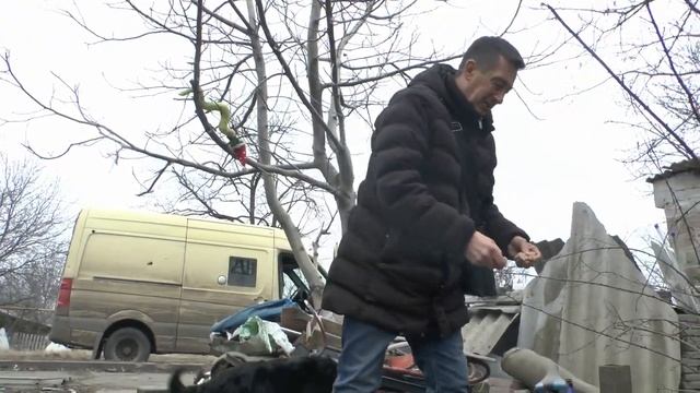 Четвероногие друзья на Октябрьском