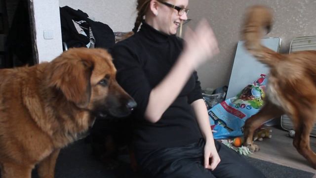 Игра в шарик