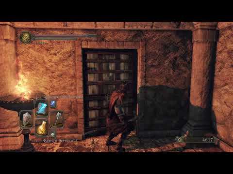 DARK SOULS 2 - Странствующий маг и прихожане - Prowling Magus and Congregation