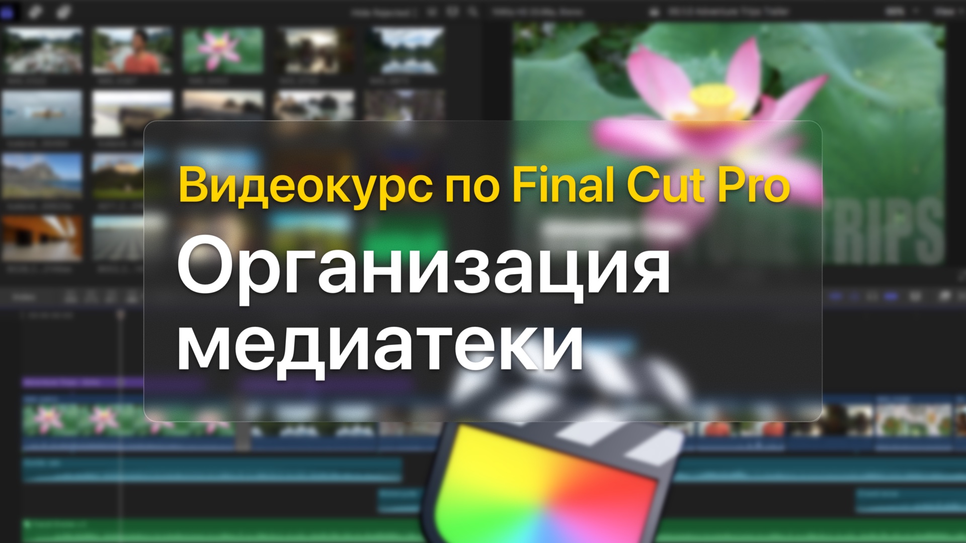 ? Организация медиатеки — курс уроков по Final Cut Pro