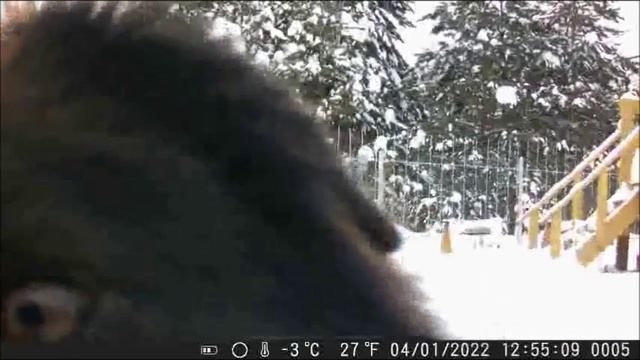 ОБКОМ звонит в колокол.mp4