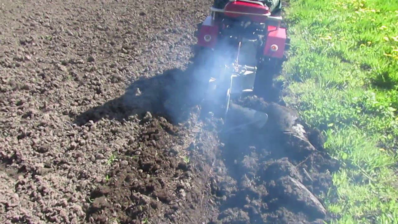 Первая борозда (с другого края поля) Ковбой и трехколёсный мул