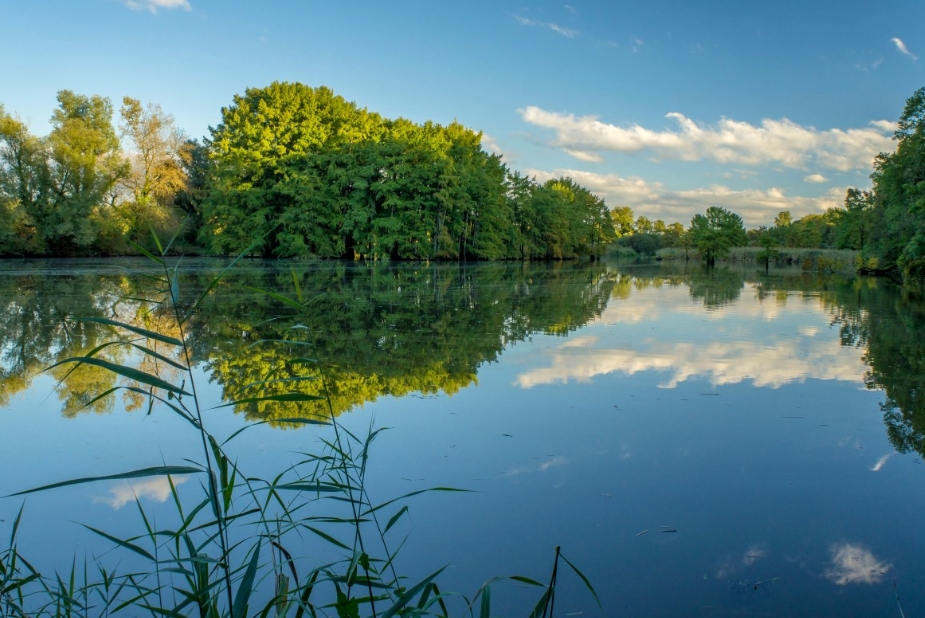 204.Как подобрать Турнир и Квест.mp4