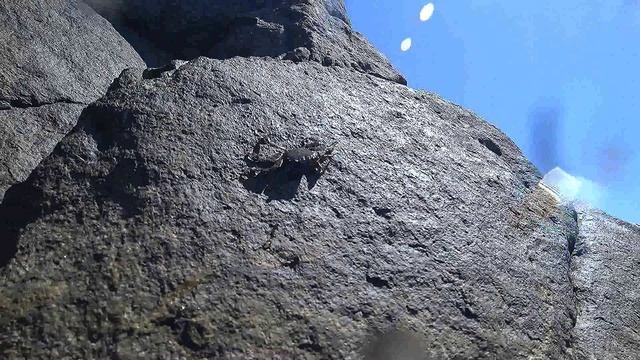 Подводная съёмка. Крым. Малореченское 2018.