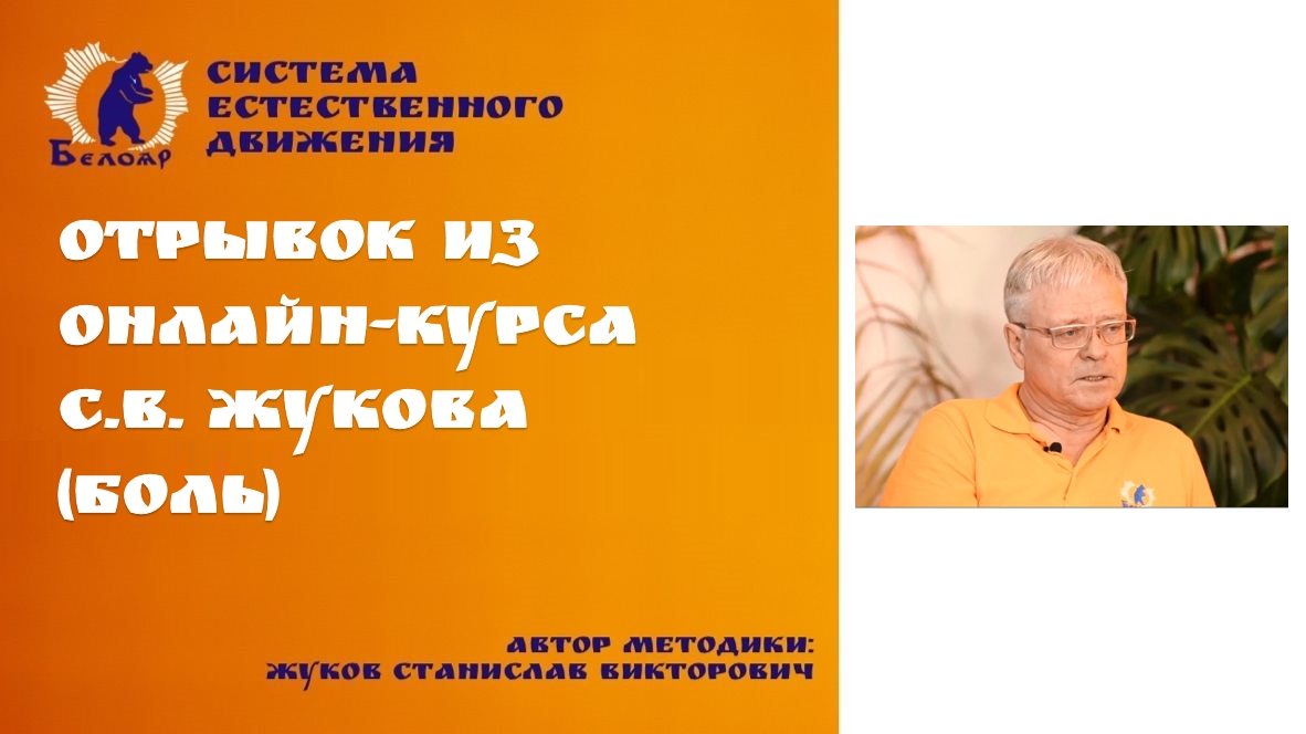 БЕЛОЯР: Отрывок из онлайн-курса С.В.Жукова (Боль)