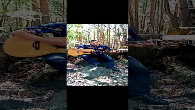 Владимир Ветрав. жить в любви