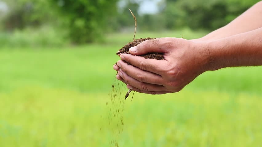 Производство гуминовых удобрений и субстратов из торфа