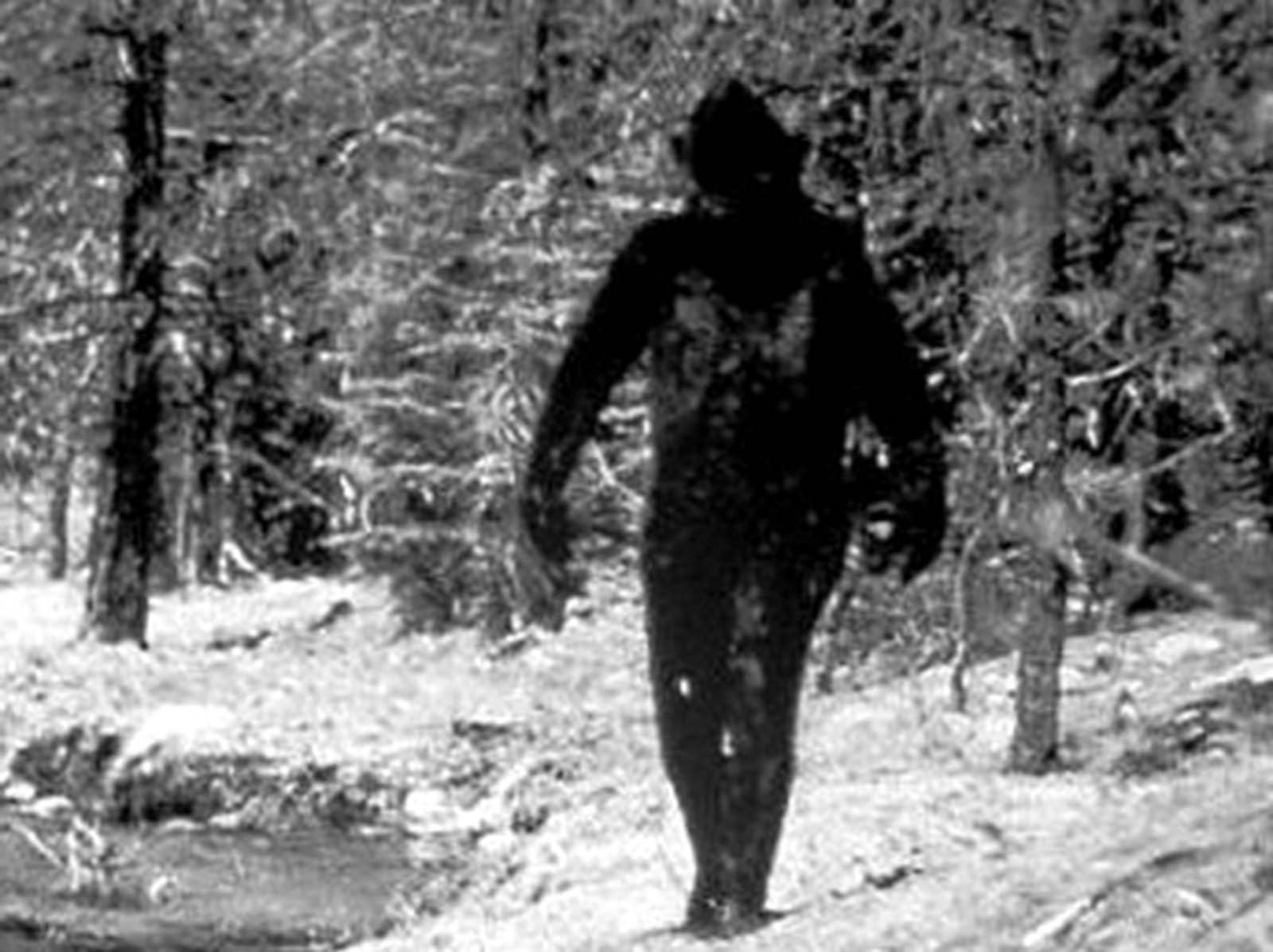 Ночью, кто-то ходит у дома...