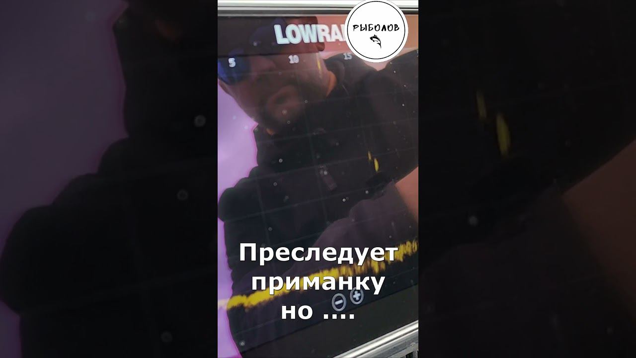 Первое знакомство с Lowrance Active Target #shorts