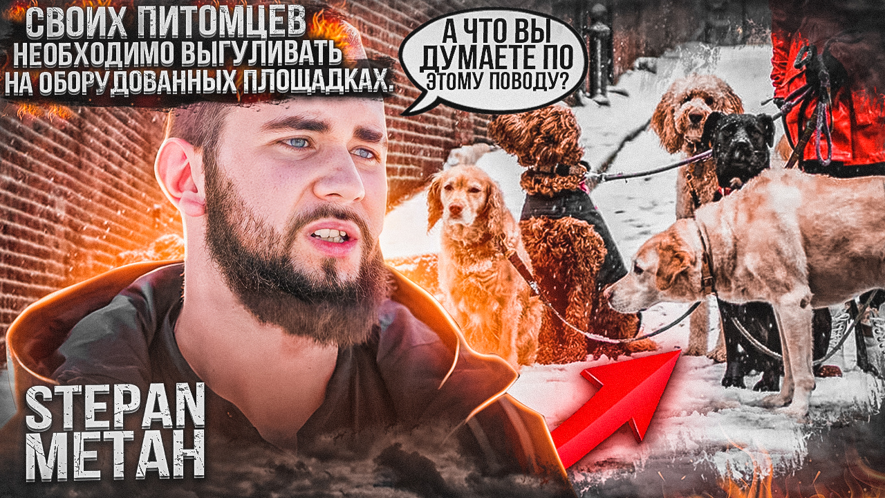 Штрафы за выгул собак в неположенном месте. Для чего и зачем?