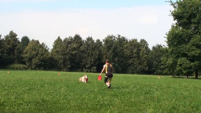 Фризби фристайл - Полина и Вереск.mp4