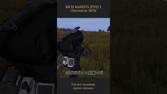 DayZ . RICH RABBITS [PVE] 1 Chernarus NEW. Так вот ты какая, дикая лошадка.