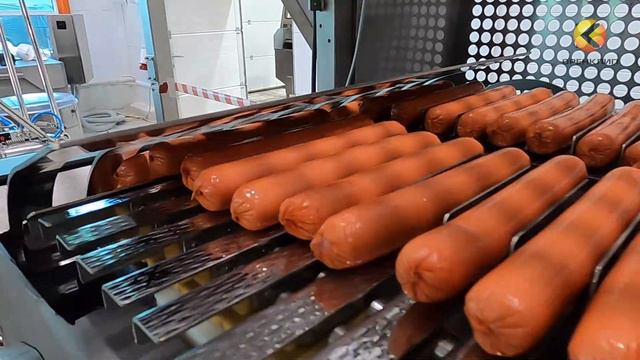 Роботизированный укладчик сосисок РУС 500