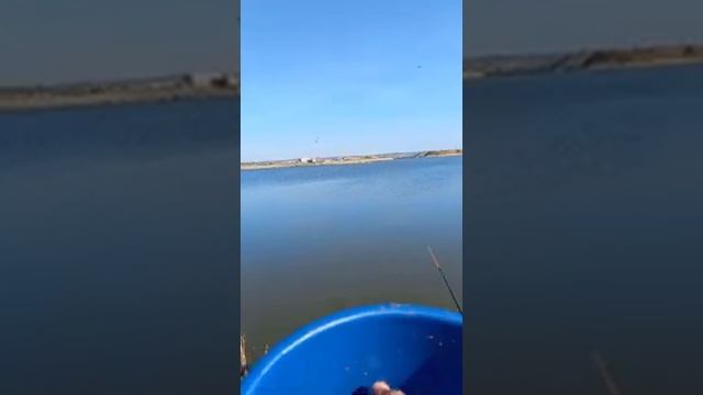 Часть 5.Рыбалка на дым тамакском карьере .Прикормка готова )