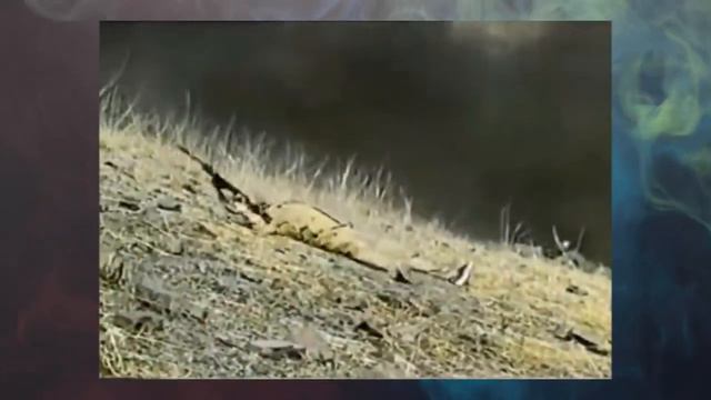 ВСЕ ЧТО ЗАСЛУЖИЛ