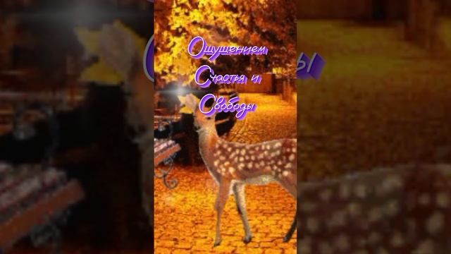 Добрый Вечер! ??????