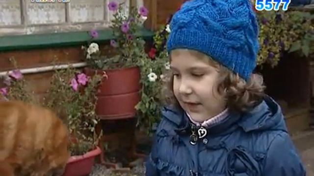 МИРОСЛАВА ИЛЬИНЫХ