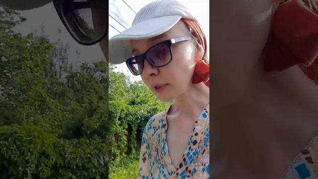 ?клещи, визуальный осмотр