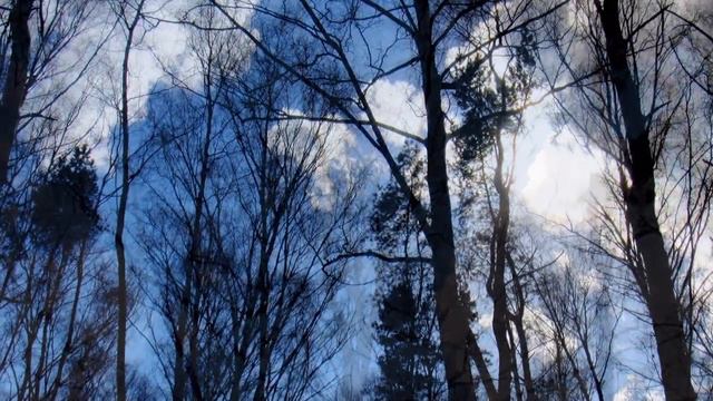 Весна идёт - весне дорогу