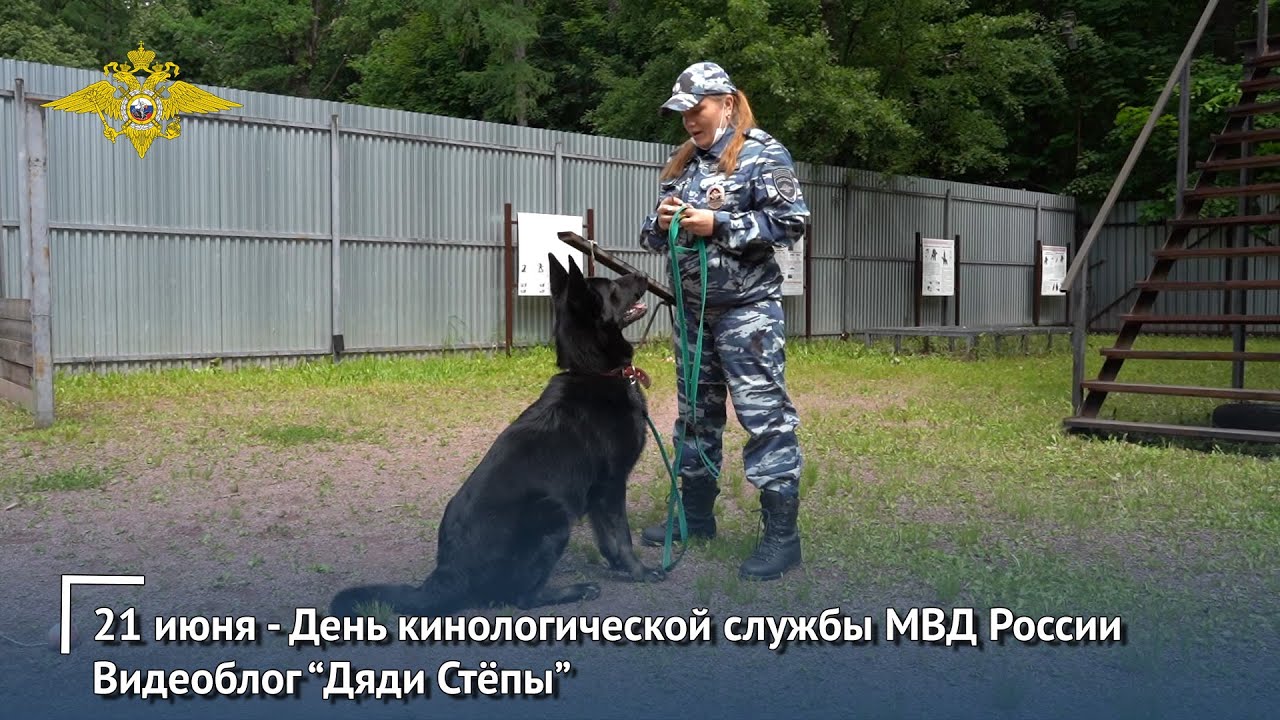 21 июня - День кинологической службы. Видеоблог Дяди Стёпы